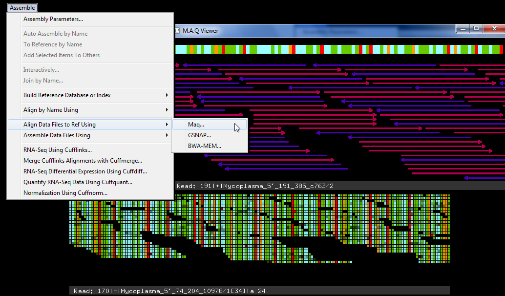 Reference Guided Alignment Dna Sequencing Software Sequencher From